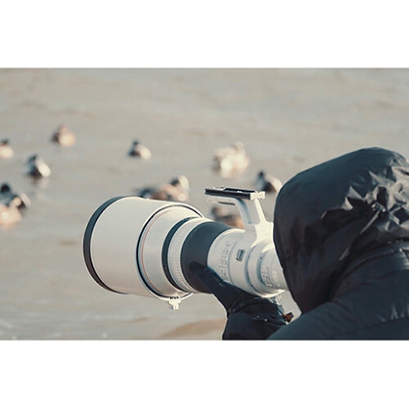 Canon RF 800mm F5.6 L IS USM Lens